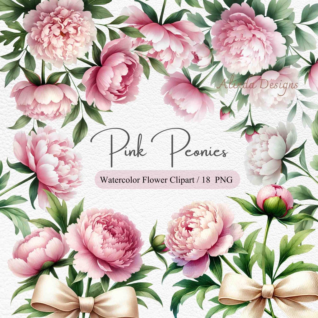 Watercolor Pink Peonies Clipart: Boho Floral PNG (digital Download) - Etsy