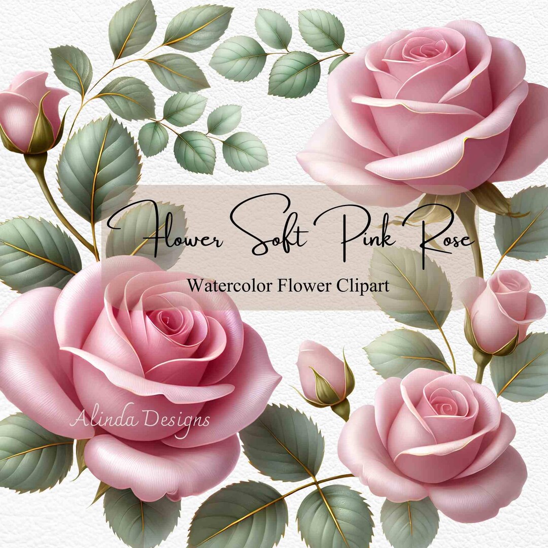 Soft Pink Rose Watercolor Clipart, Elegant Floral Design, 300 DPI Pngs ...