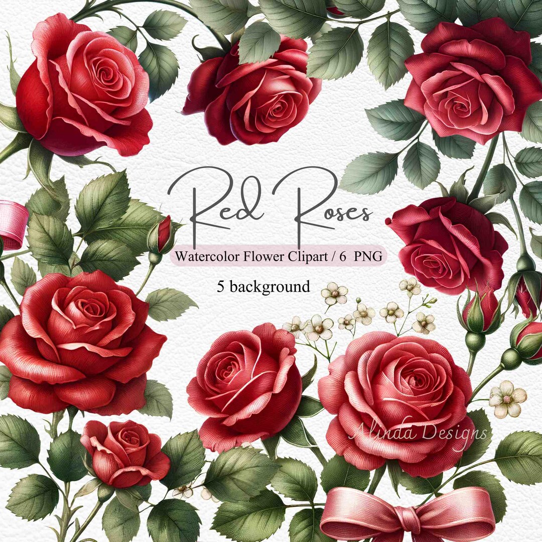 Watercolor Red Roses Clipart: Floral PNG Illustrations (digital ...