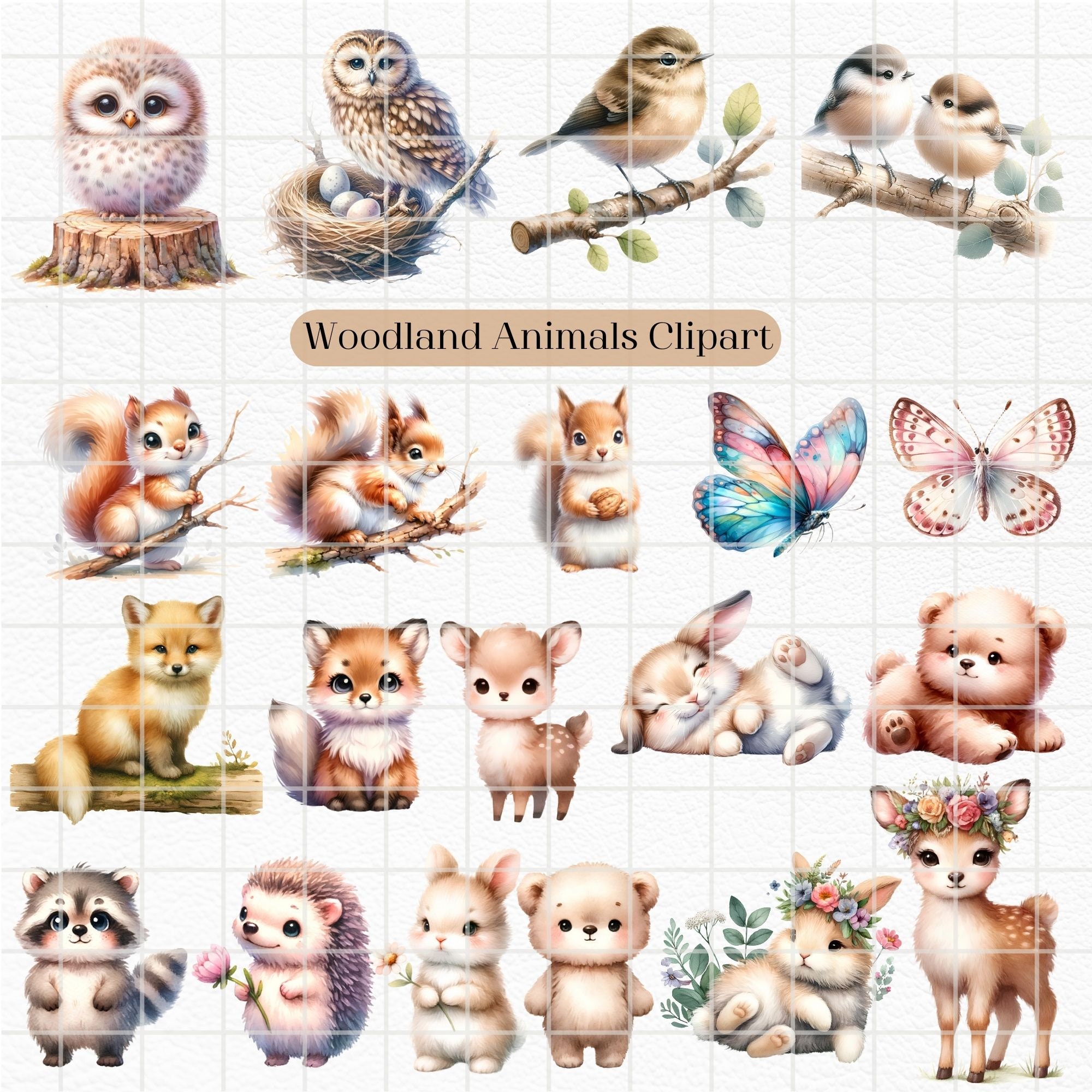 Woodland Animals Watercolor Clipart, Forest Animal Illustrations, Cute ...