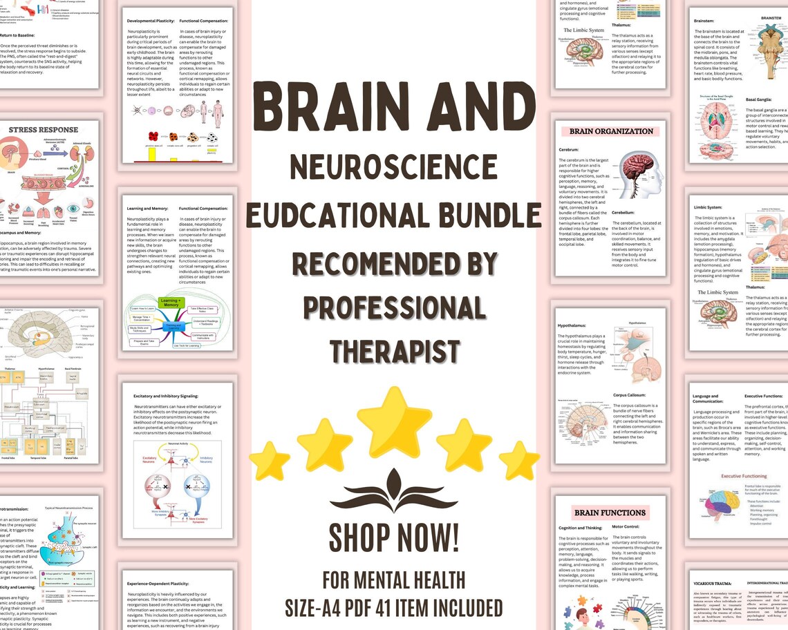 Brain and Neuroscience Therapy and Education Bundle: Psychoeducation ...