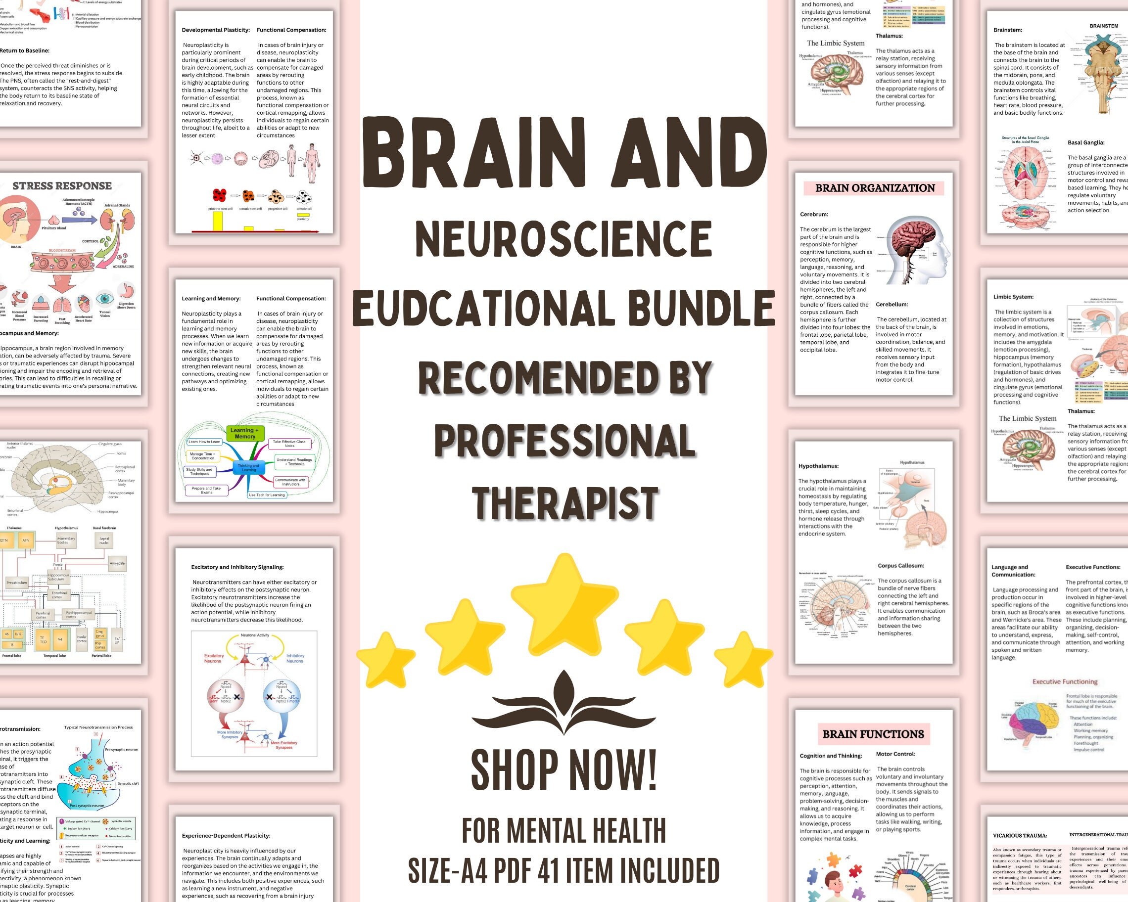 Brain and Neuroscience Therapy and Education Bundle: Psychoeducation ...
