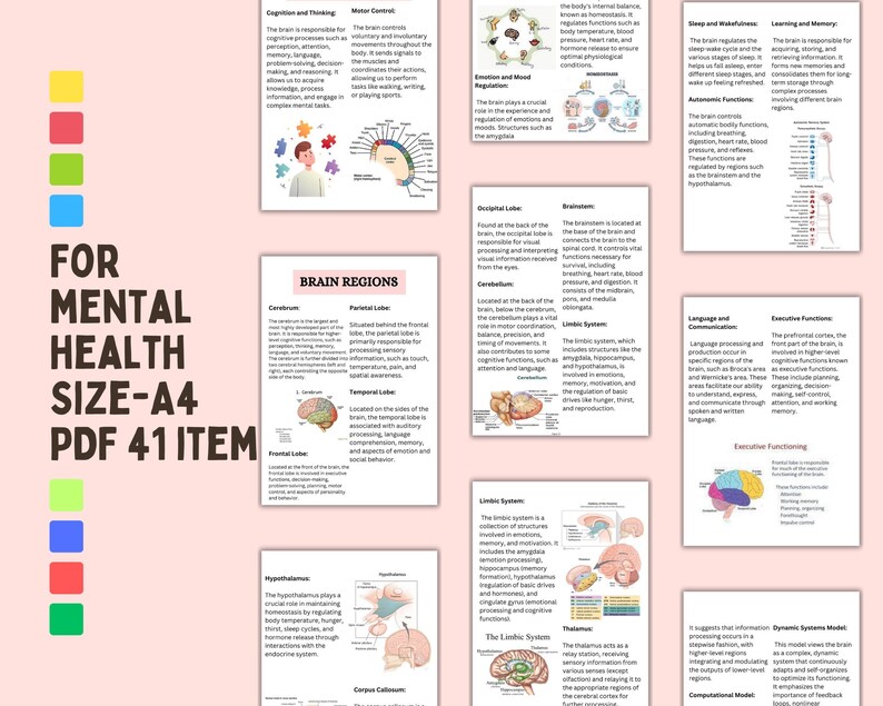 Brain and Neuroscience Therapy and Education Bundle: Psychoeducation ...
