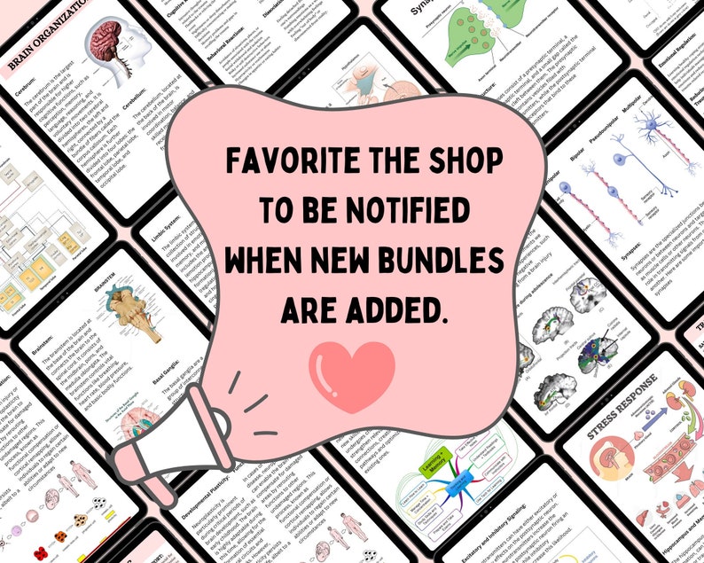 Brain and Neuroscience Therapy and Education Bundle: Psychoeducation ...