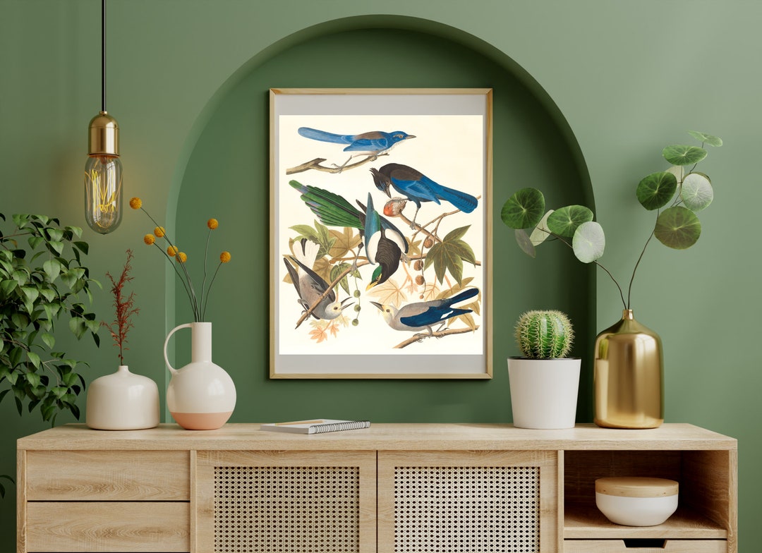 Digital Downloadable Planetary System Birds Digital - Etsy