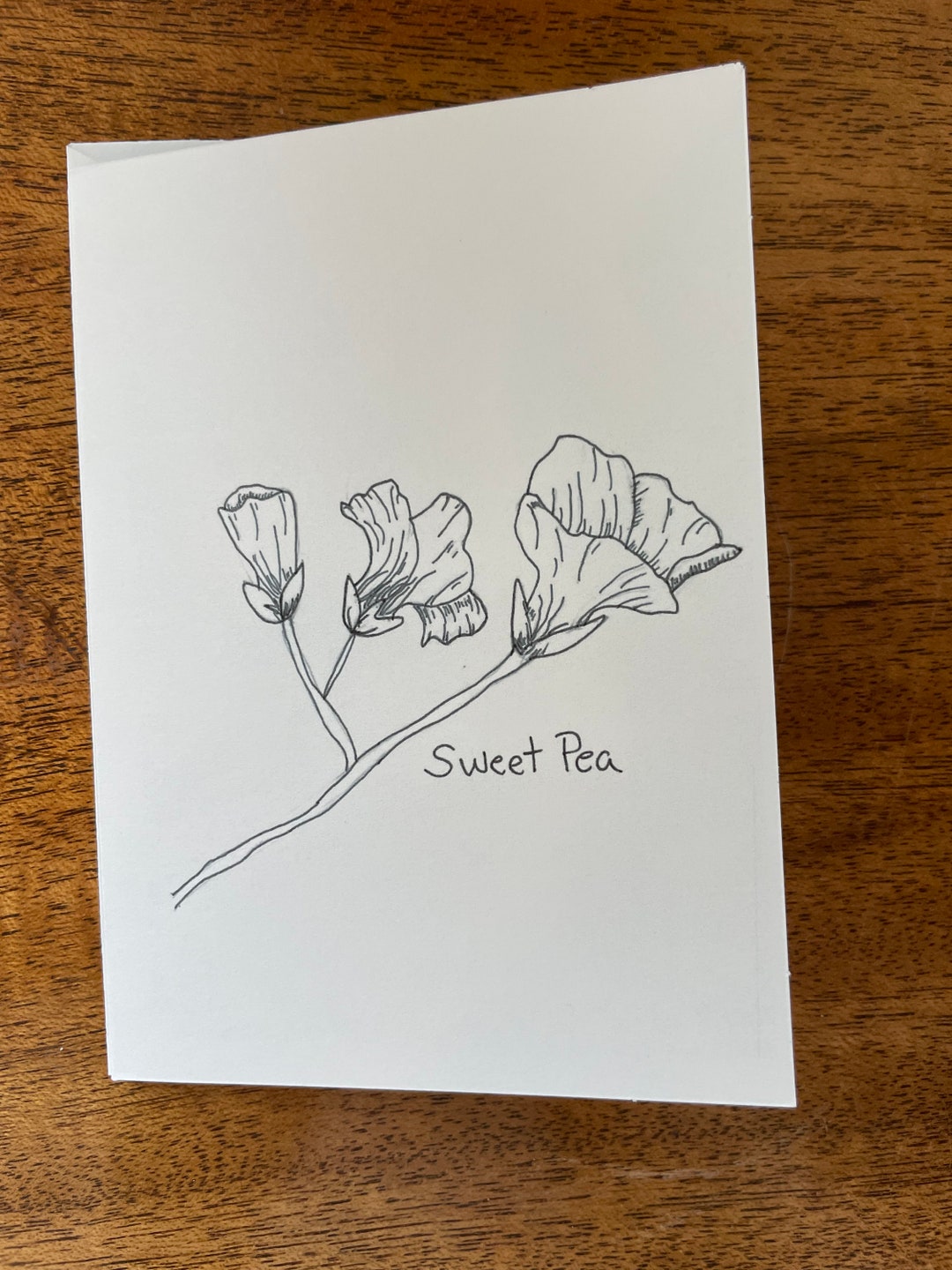 Sweet Pea Floral Design Blank Greeting Card for Any Occasion - Etsy