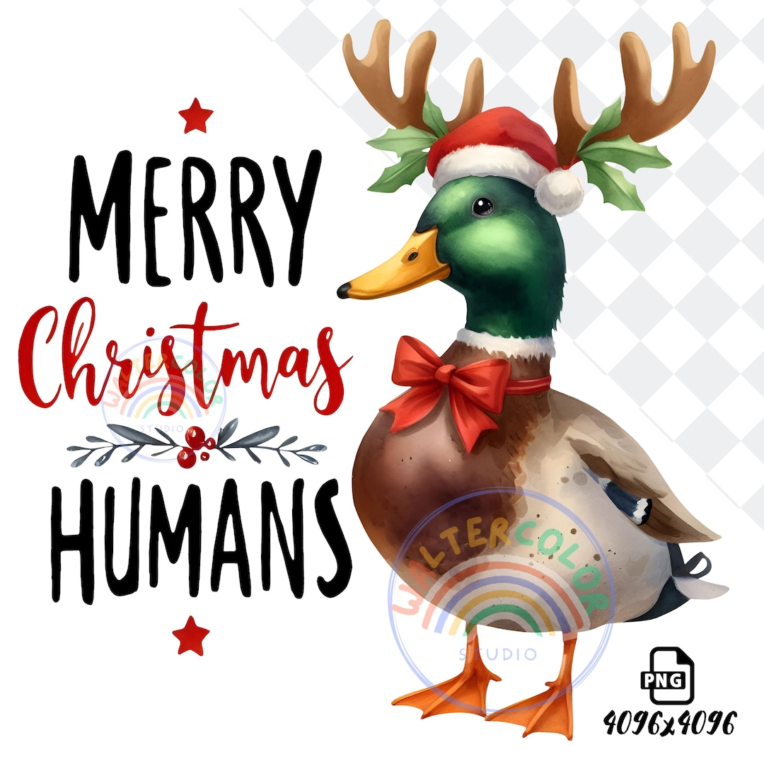 Merry Christmas Humans Png Christmas Mallard Duck Christmas Png Cute ...