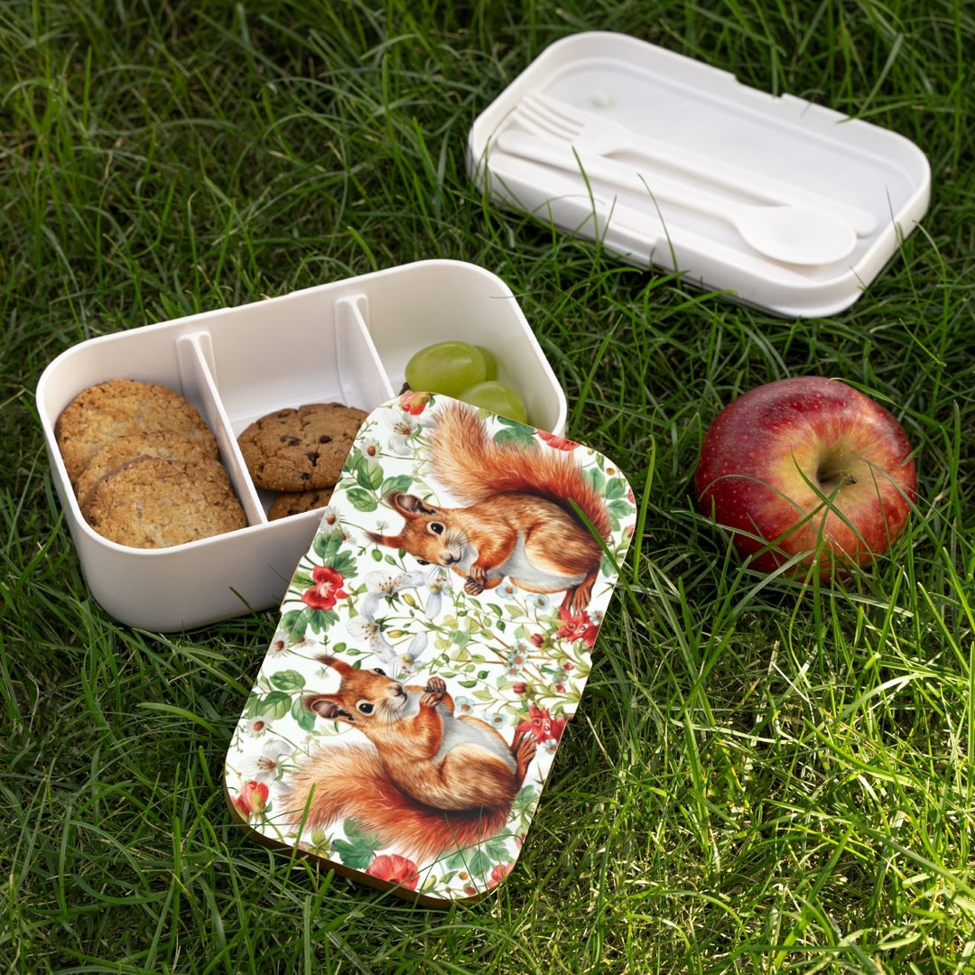 Squirrel Bento Lunch Box - Woodland Squirrel Lunch Box - Japanese Bento ...