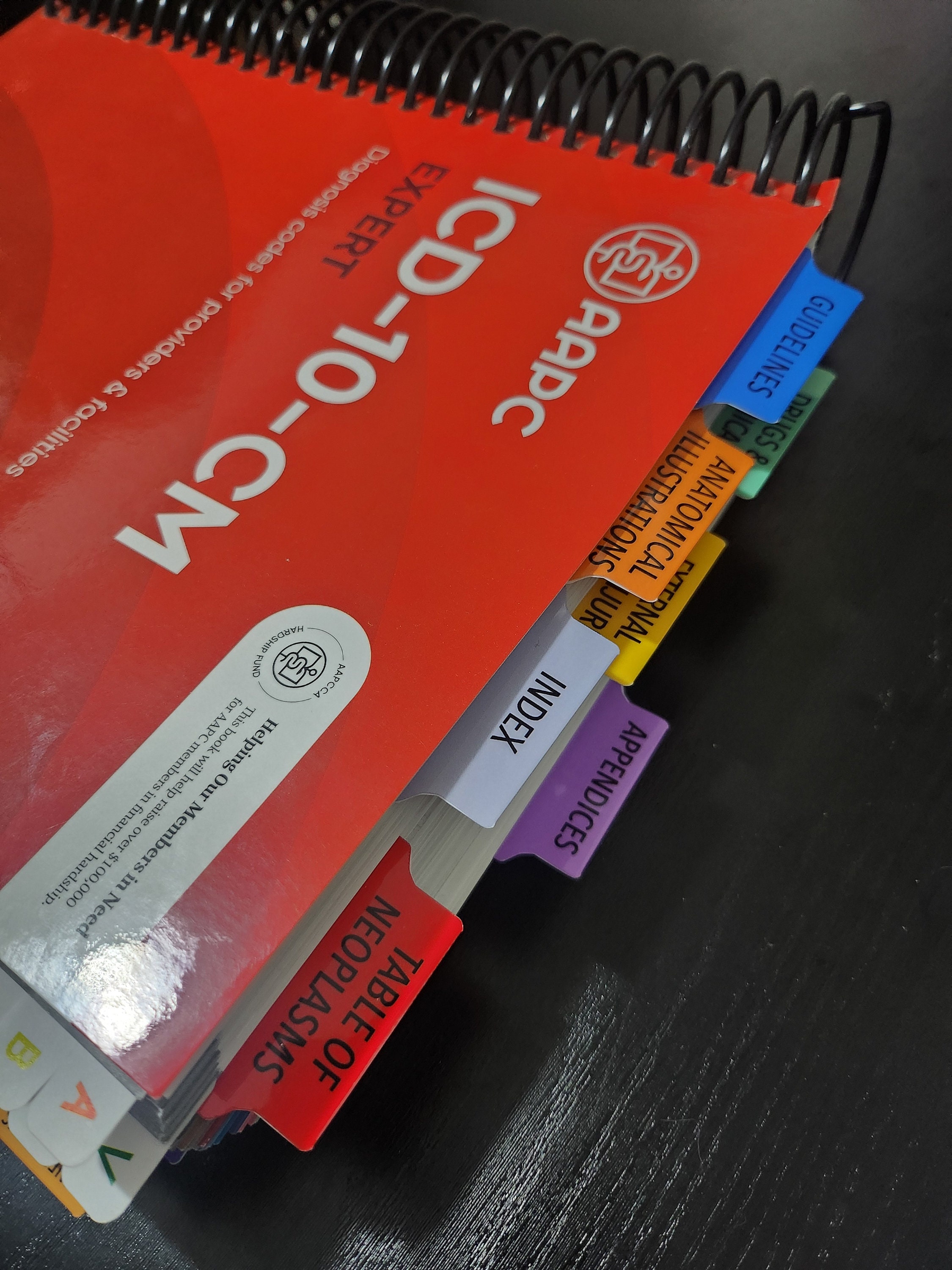 2024 AAPC ICD-10-PCS Tabbing System - Etsy Österreich