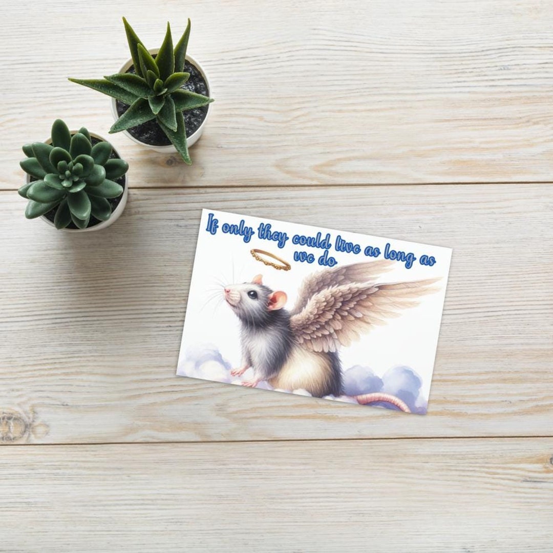 Sympathy Card for the Loss of Your Little Friend Pet Rat / Mouse. No ...