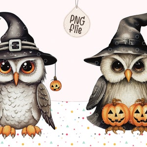 Halloween Owl Clipart, Halloween PNG, Witch Owl, Wildlife Sublimation ...