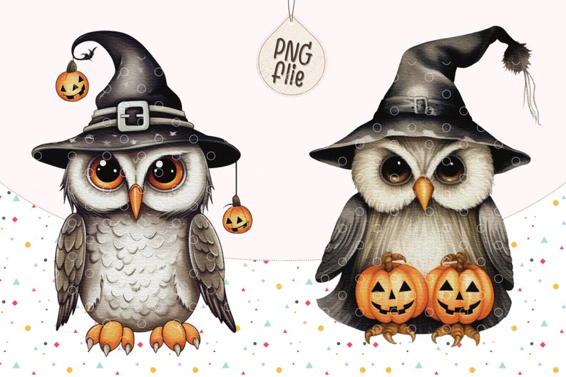 Halloween Owl Clipart Halloween PNG Witch Owl Wildlife - Etsy