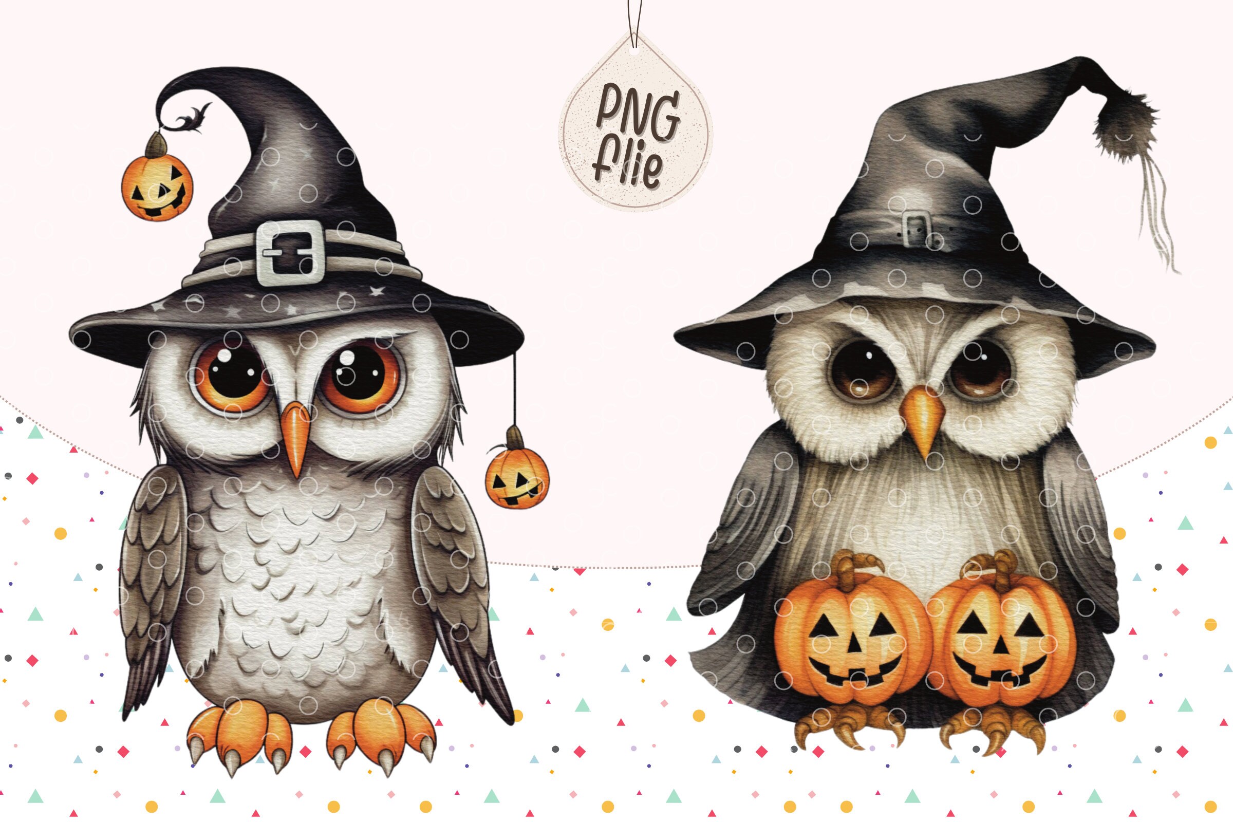 Halloween Owl Clipart Halloween PNG Witch Owl Wildlife - Etsy