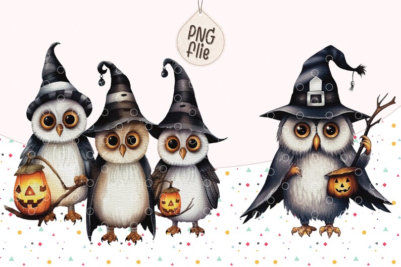 Halloween Owl Clipart Halloween PNG Witch Owl Wildlife - Etsy