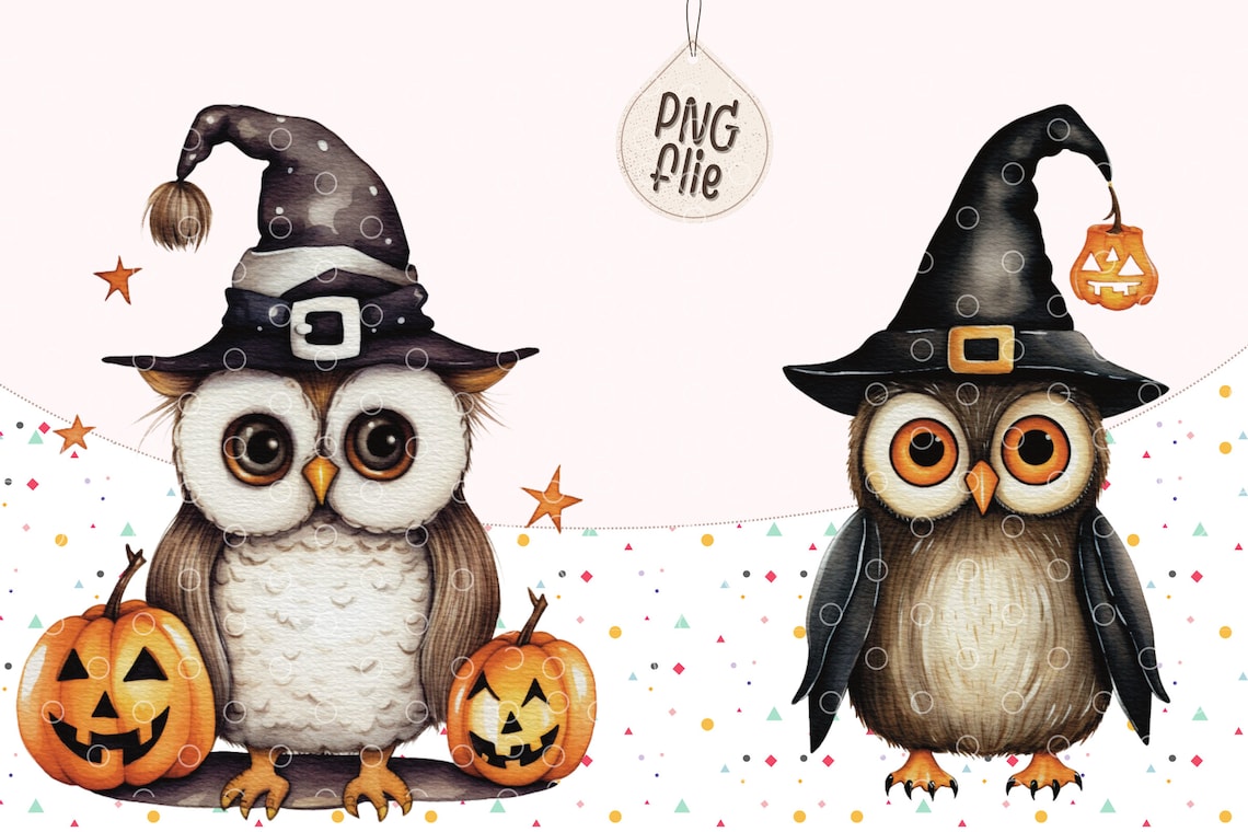 Halloween Owl Clipart Halloween PNG Witch Owl Wildlife - Etsy