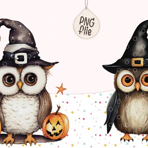 Halloween Owl Clipart, Halloween PNG, Witch Owl, Wildlife Sublimation ...