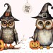 Halloween Owl Clipart Halloween PNG Witch Owl Wildlife - Etsy
