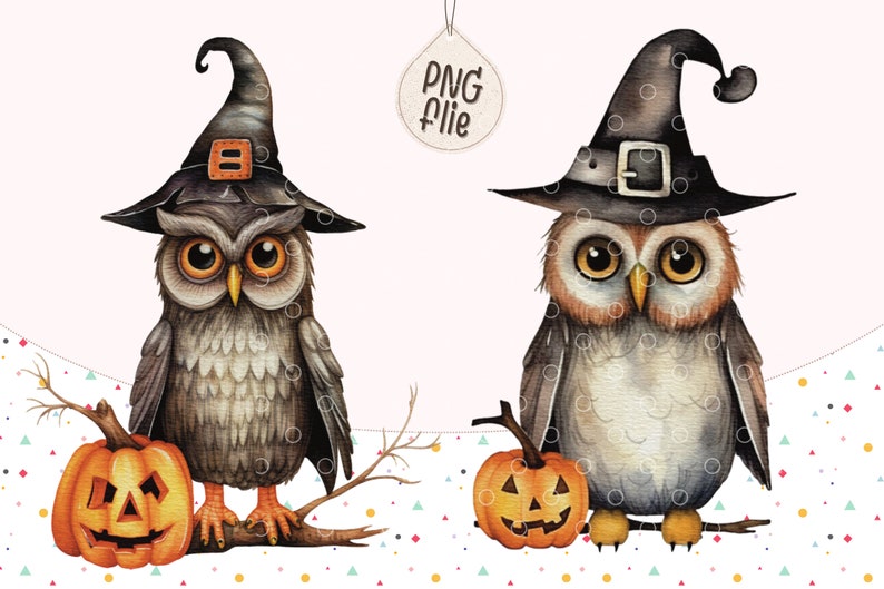 Halloween Owl Clipart Halloween PNG Witch Owl Wildlife - Etsy