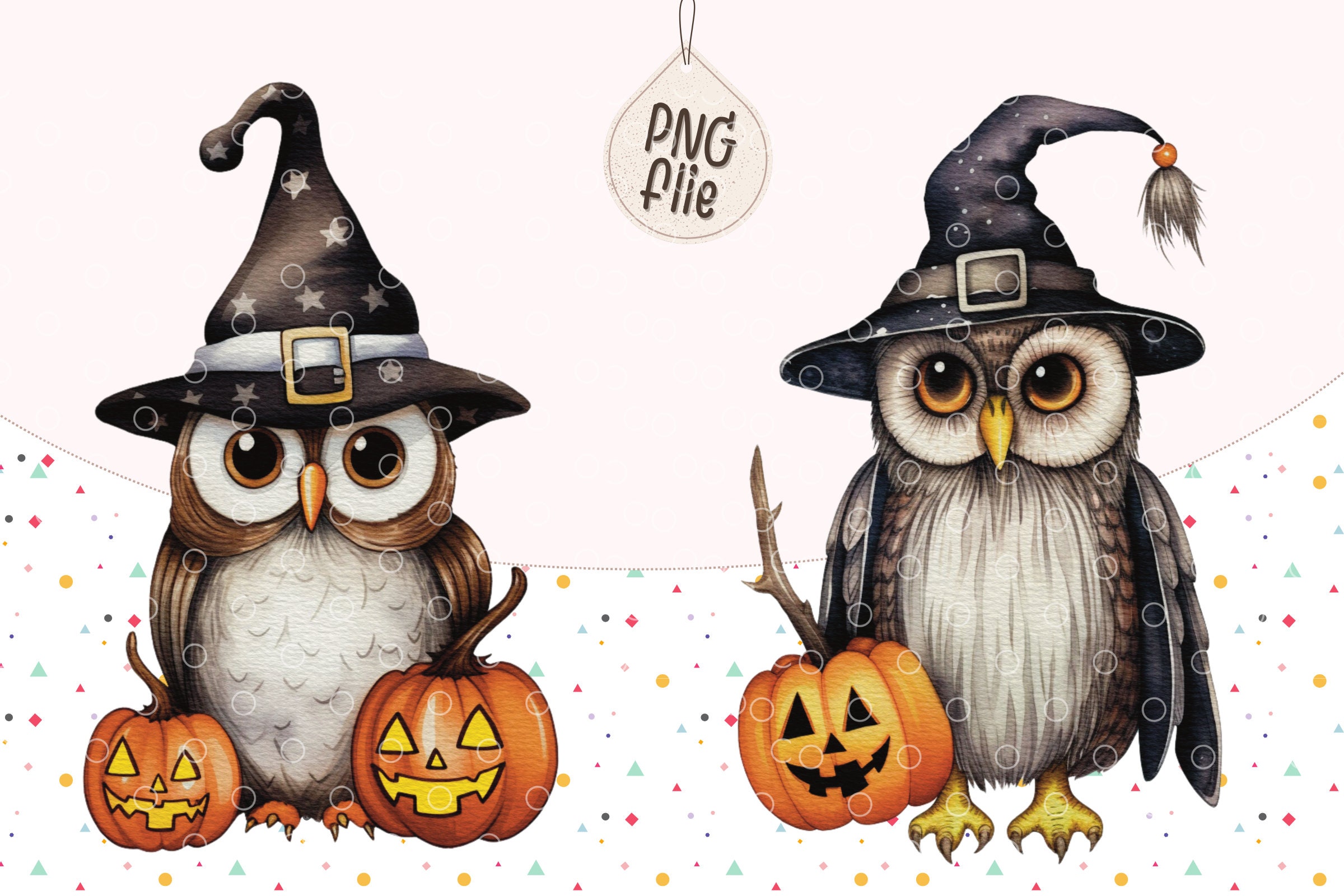 Halloween Owl Clipart Halloween PNG Witch Owl Wildlife - Etsy