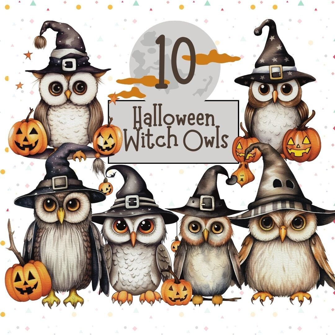 Halloween Owl Clipart Halloween PNG Witch Owl Wildlife - Etsy