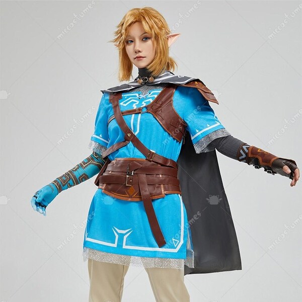 Link Cosplay - Etsy