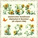 Sunflower Alphabet Clipart, Watercolor Alphabet PNG, Watercolor Floral ...