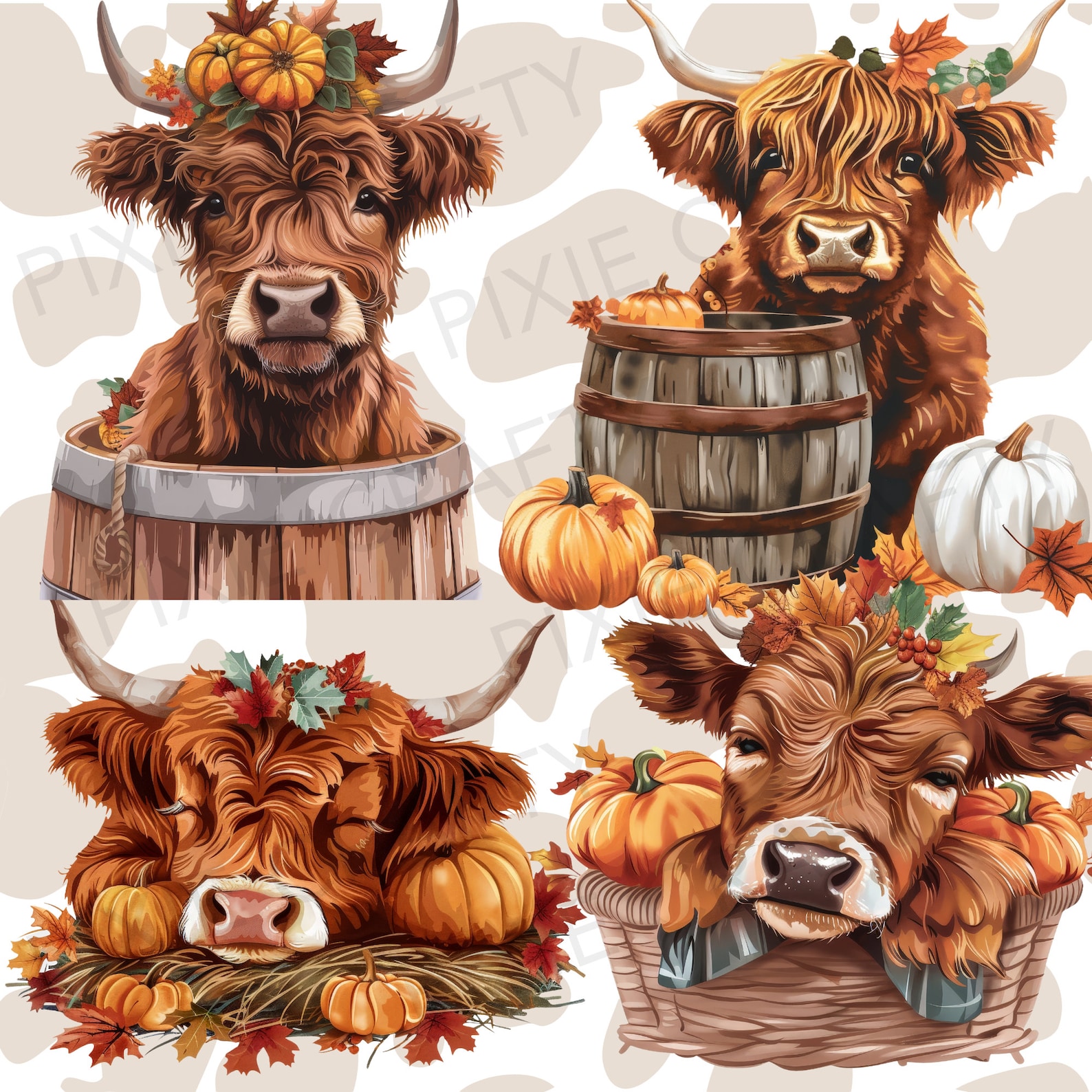 Watercolor Fall Highland Cow With Pumpkins, Autumn Highland Cow ...