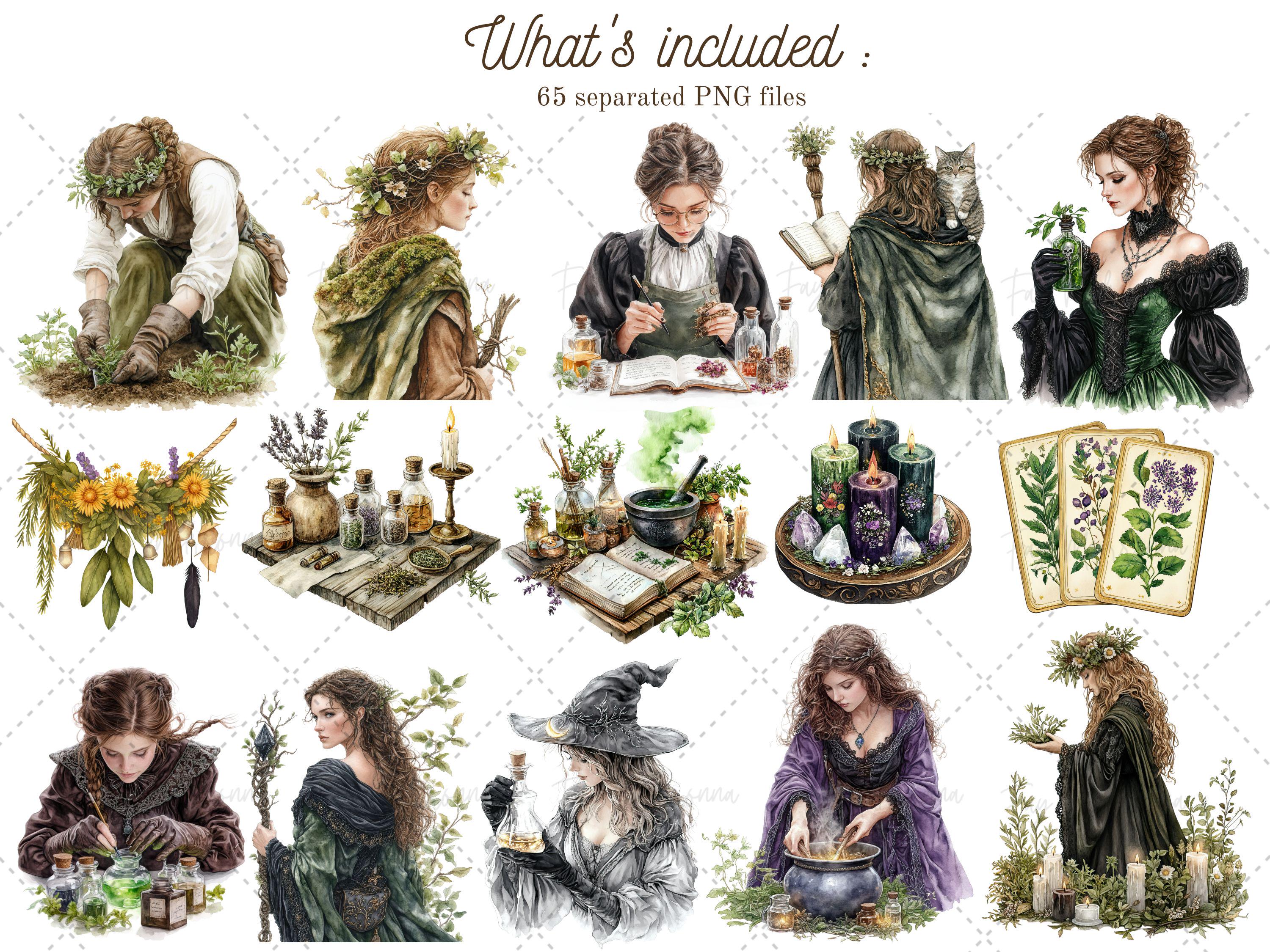 Watercolor Herbology Witch Clipart, Gothic Witch PNG, Herbal Apothecary ...