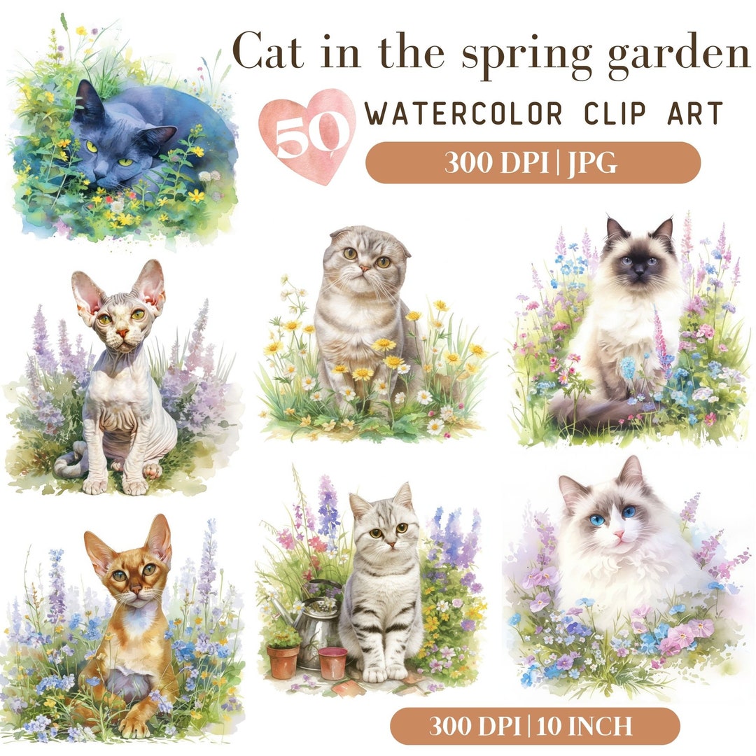 Watercolor Cute Cat Spring Clipart, Cute Kittens Animal Nursery, Bear ...