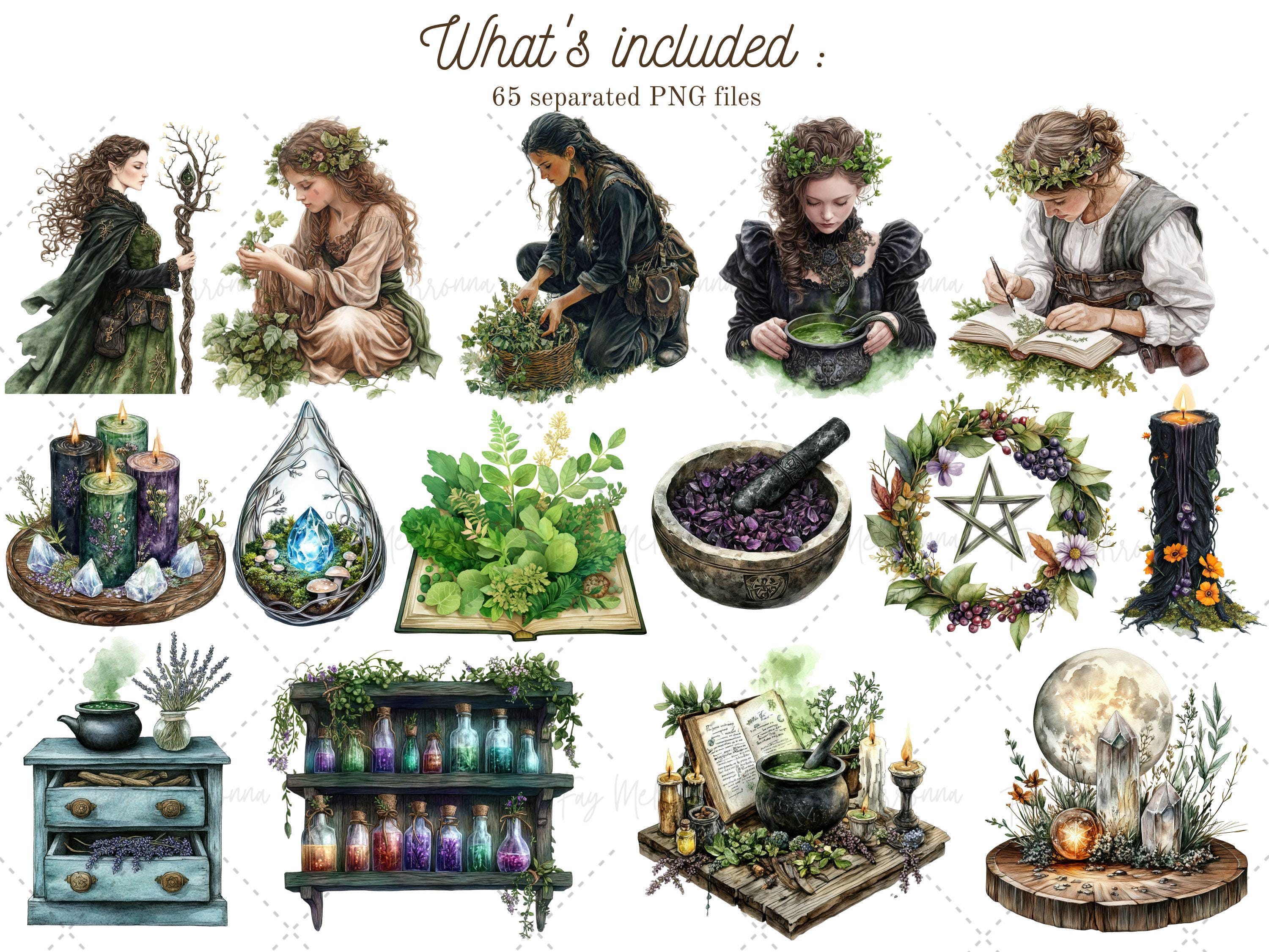 Watercolor Herbology Witch Clipart, Gothic Witch PNG, Herbal Apothecary ...