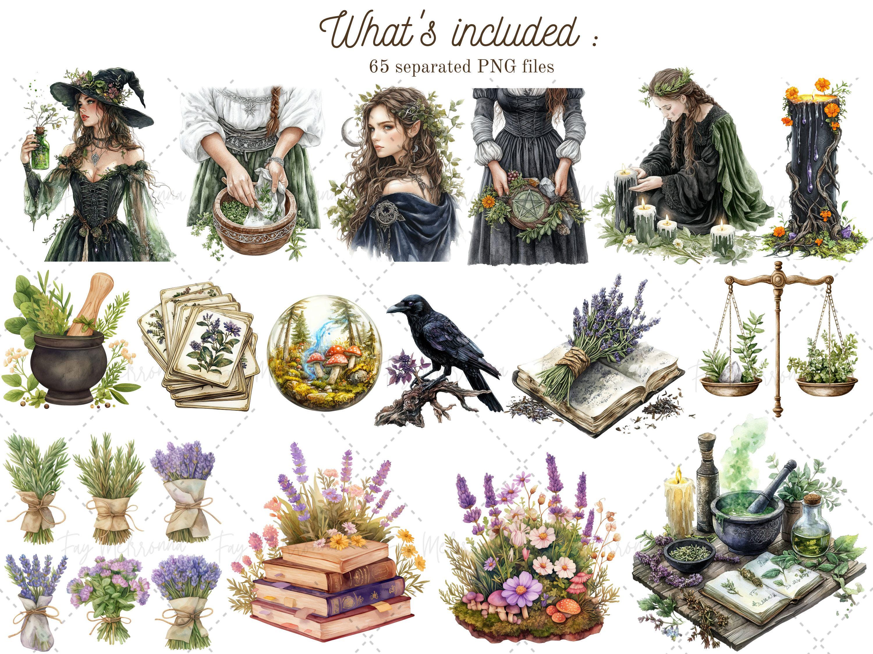 Watercolor Herbology Witch Clipart, Gothic Witch PNG, Herbal Apothecary ...