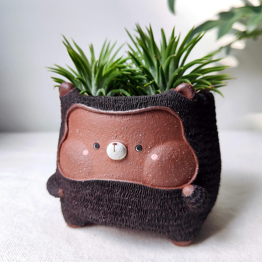 Dark Brown Furry Bear Planter. Handmade Pot With Drainage Hole. Cactus ...