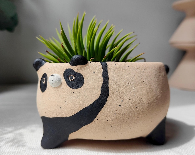 Panda Planter. Handmade Plant Pot With Drainage. Cute Cactus and ...