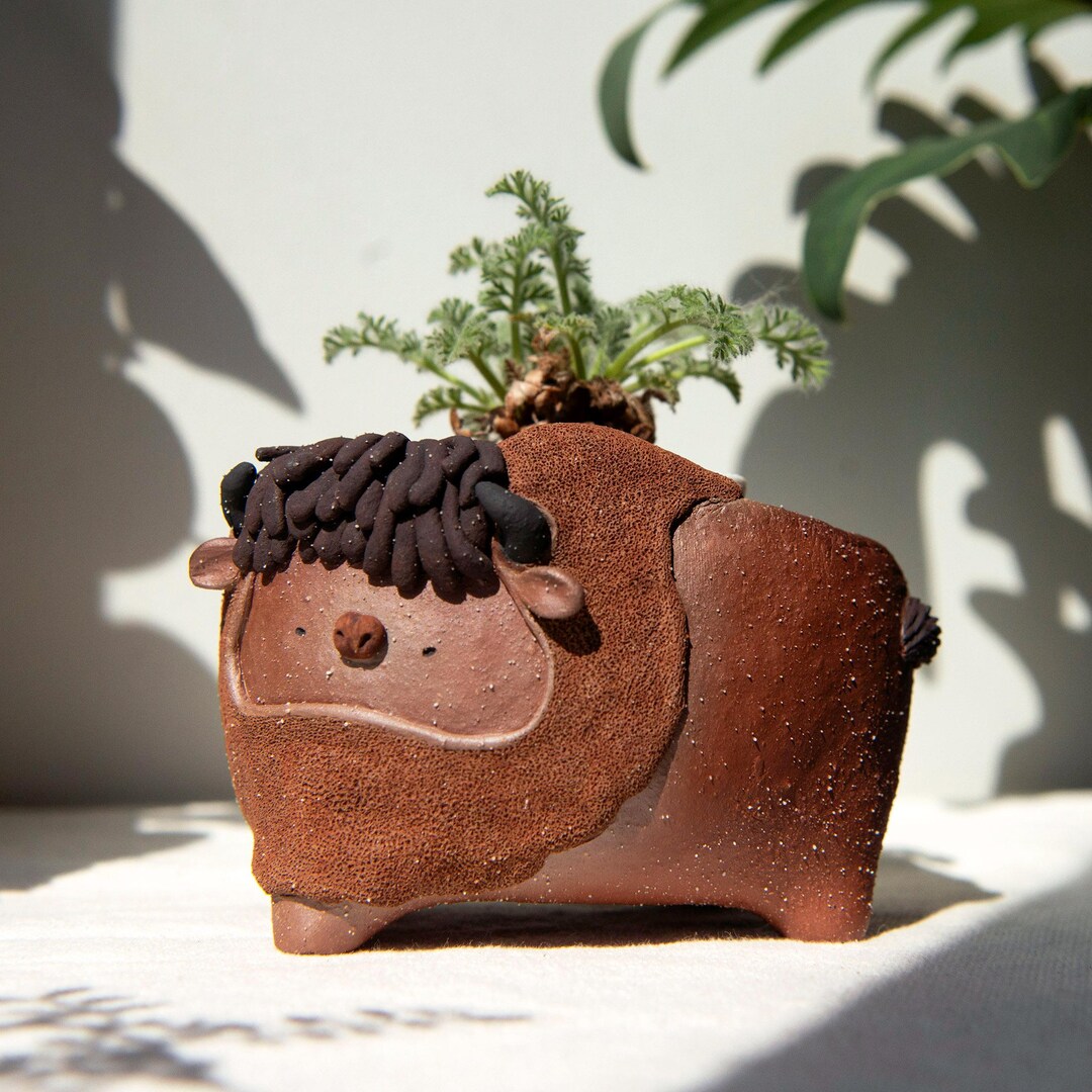 Bison Planter. Dark Brown Clay Pot. Handmade Pot With Drainage Hole ...