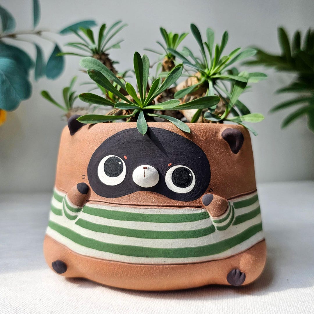 Handmade Tanuki Planter: Jail Costume. Terracotta Pot for Succulent ...