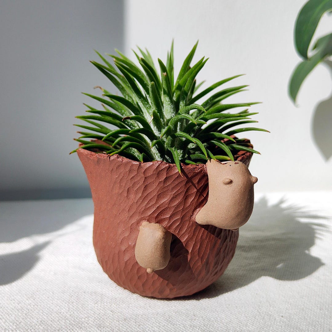 Small Climbing Bears Planter. Handmade Plant Pot With Drainage Hole. Cute Cactus and Succulent ...