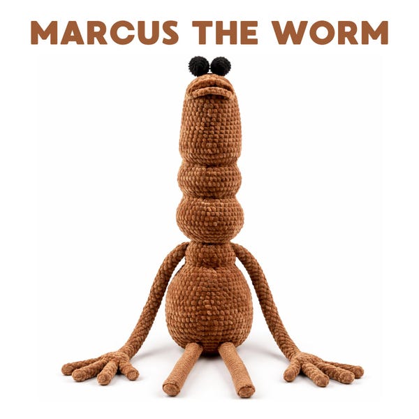 Worm Toy - Etsy