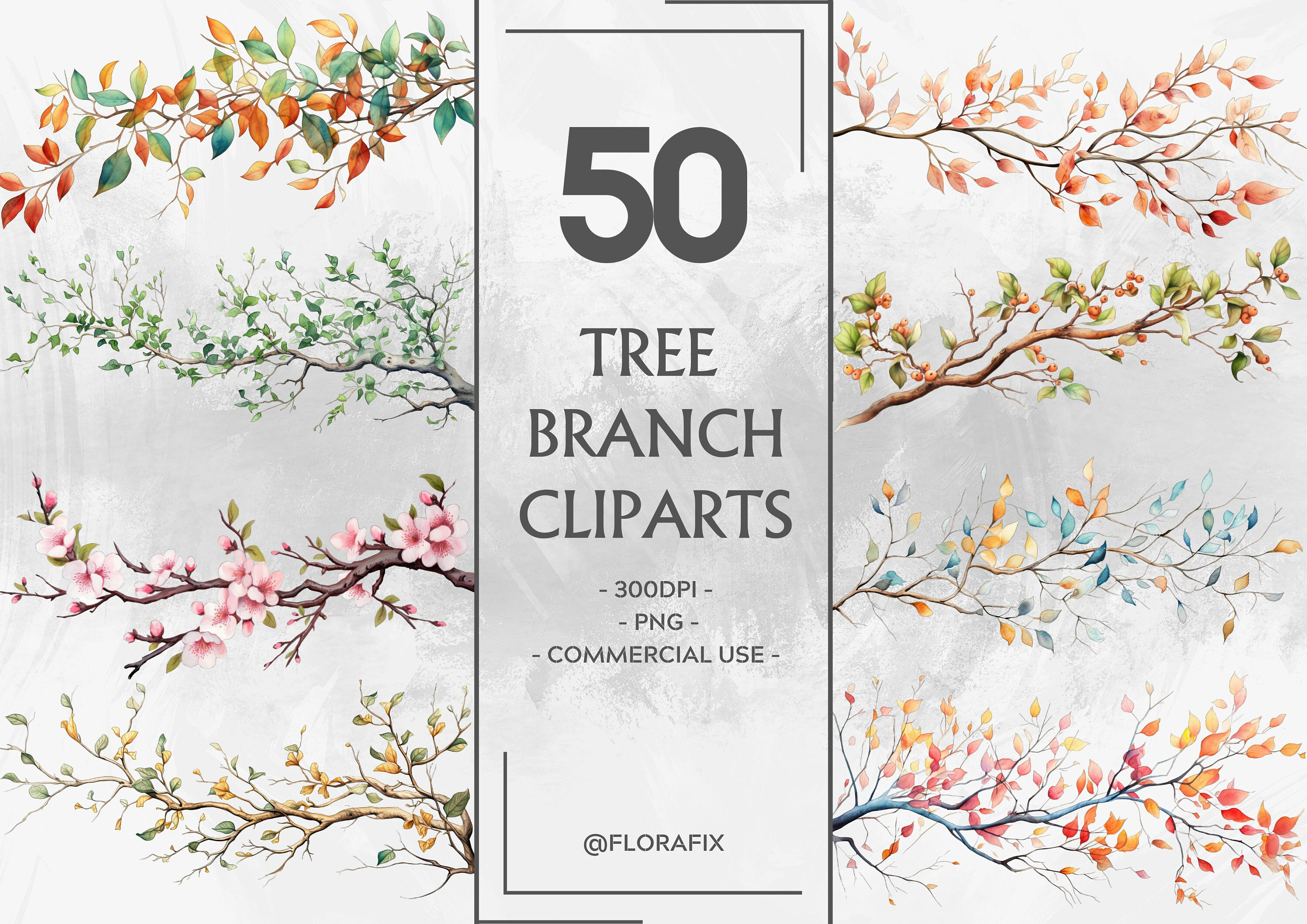 Tree Branch Cliparts Watercolor Digital Painting 300 DPI PNG Clipart ...