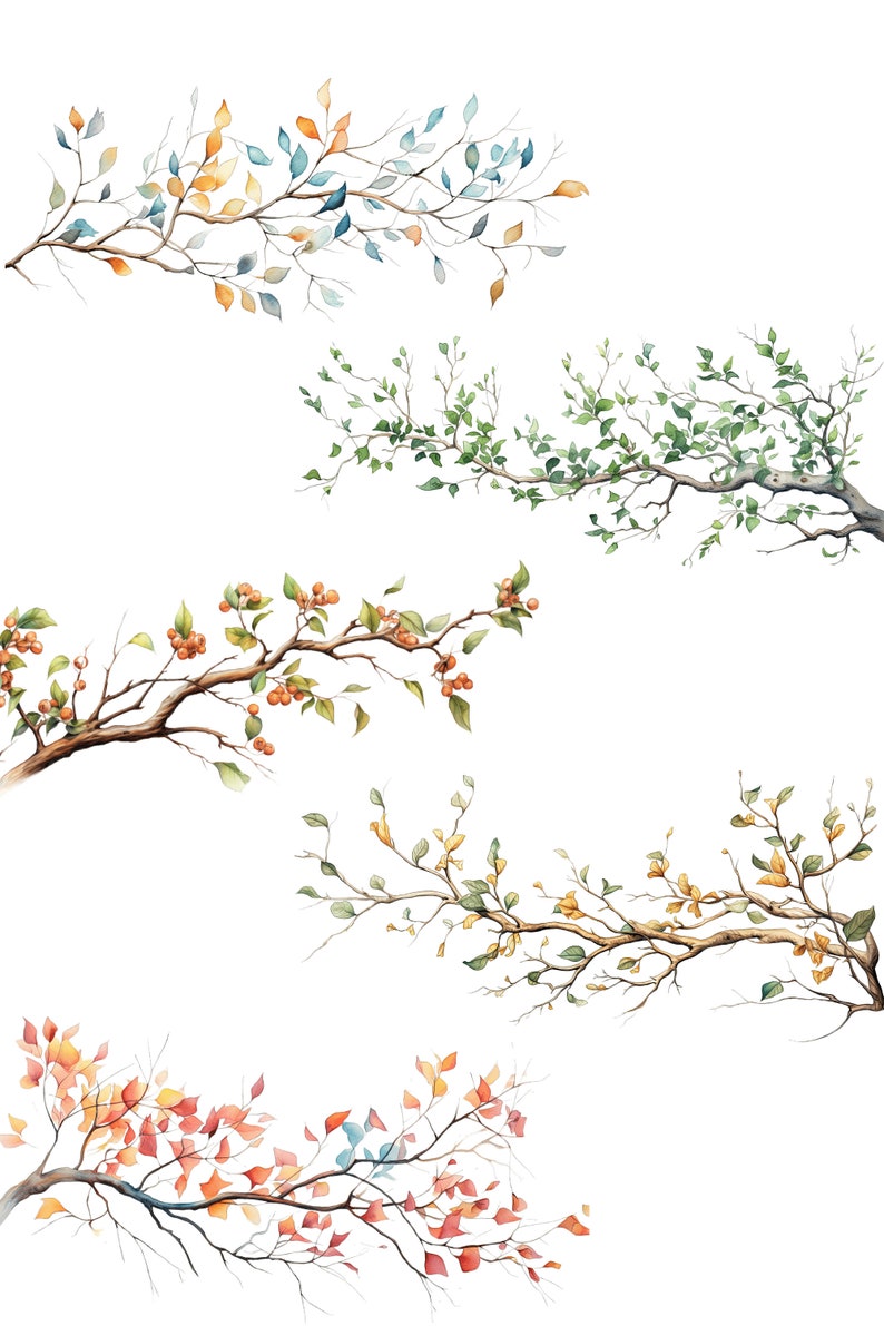 Tree Branch Cliparts - Watercolor - Digital Painting - 300 DPI - PNG ...