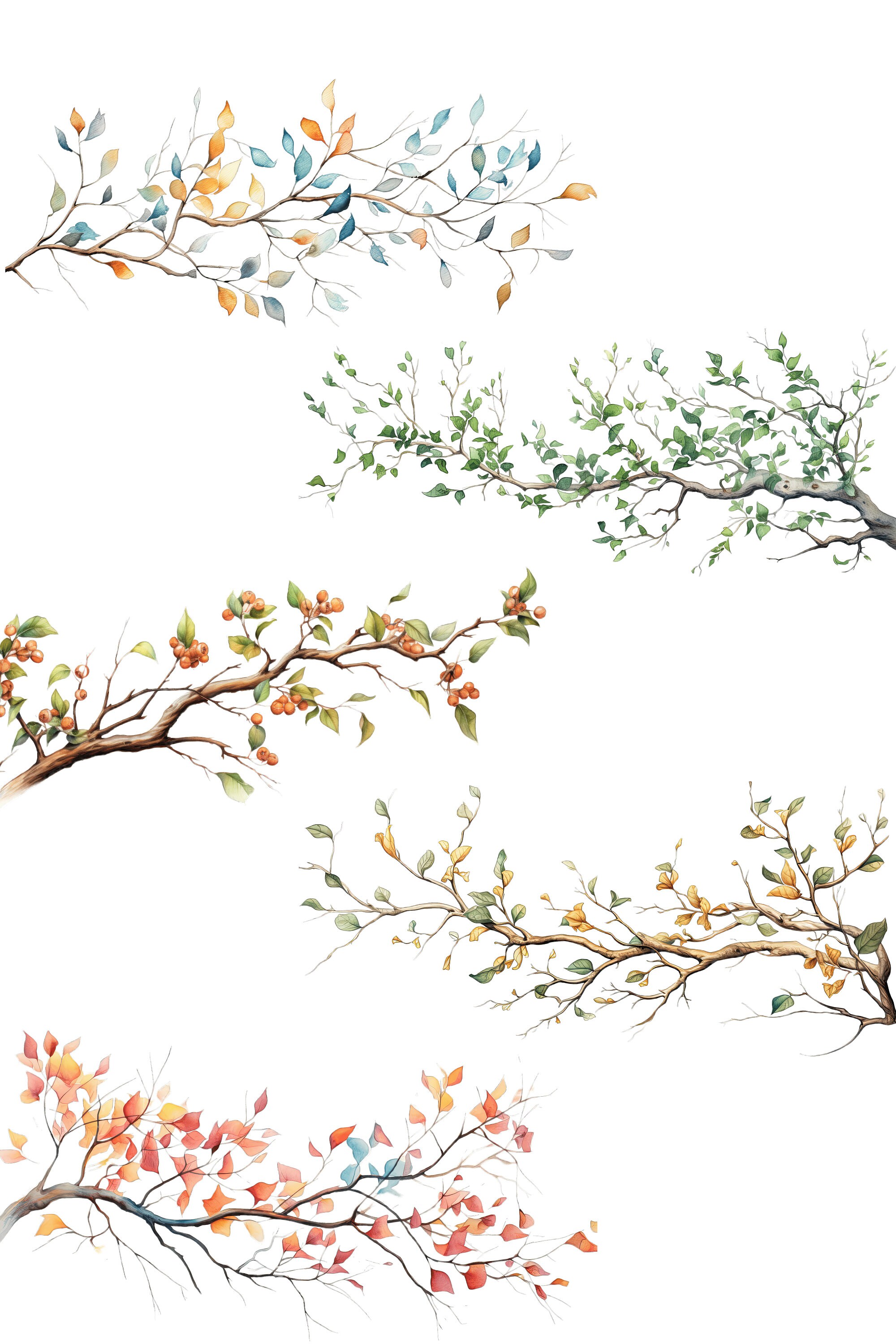Tree Branch Cliparts Watercolor Digital Painting 300 DPI PNG Clipart ...