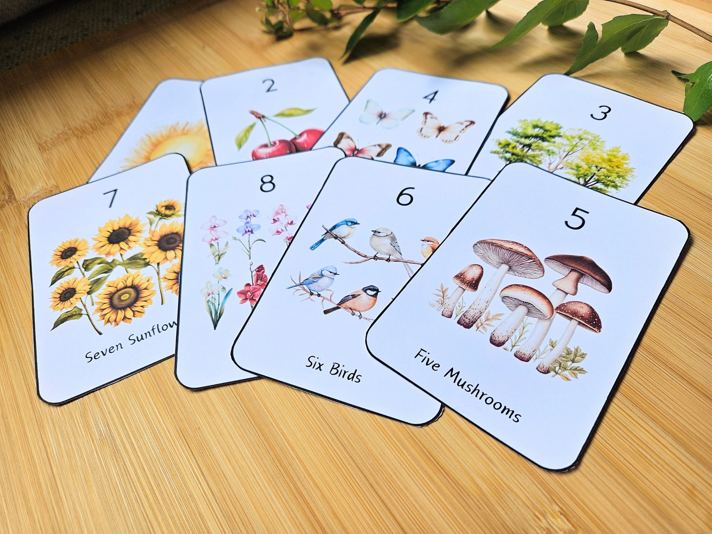 Nature Number Cards 1 12 Counting Cards Homeschool Resources Printable ...