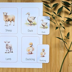 26 Farm Flashcards 2 Sizes Matching Activity Farm Animal Cards 3-part ...