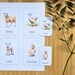 26 Farm Flashcards 2 Sizes Matching Activity Farm Animal Cards 3-part ...