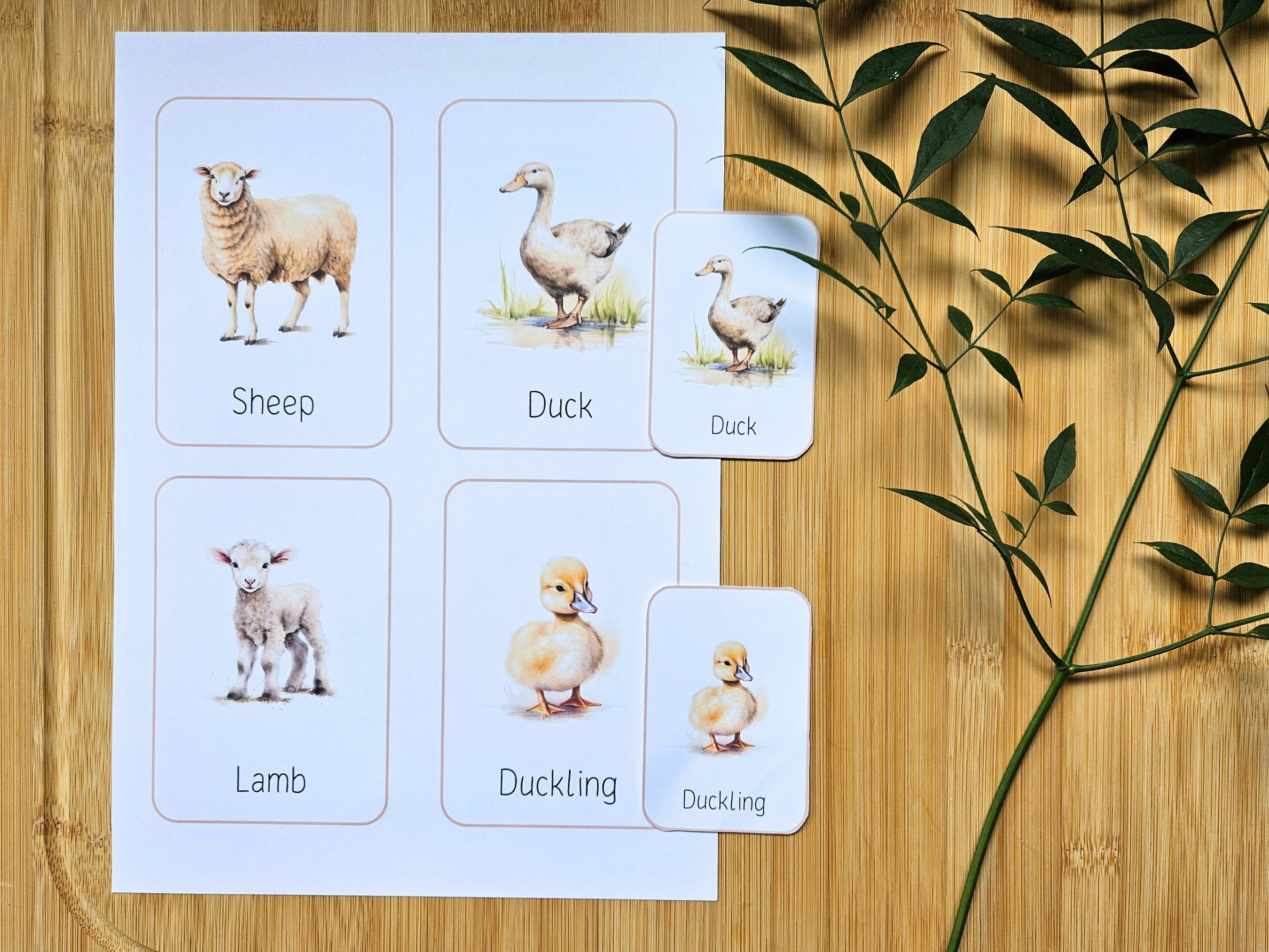 26 Farm Flashcards 2 Sizes Matching Activity Farm Animal Cards 3-part ...