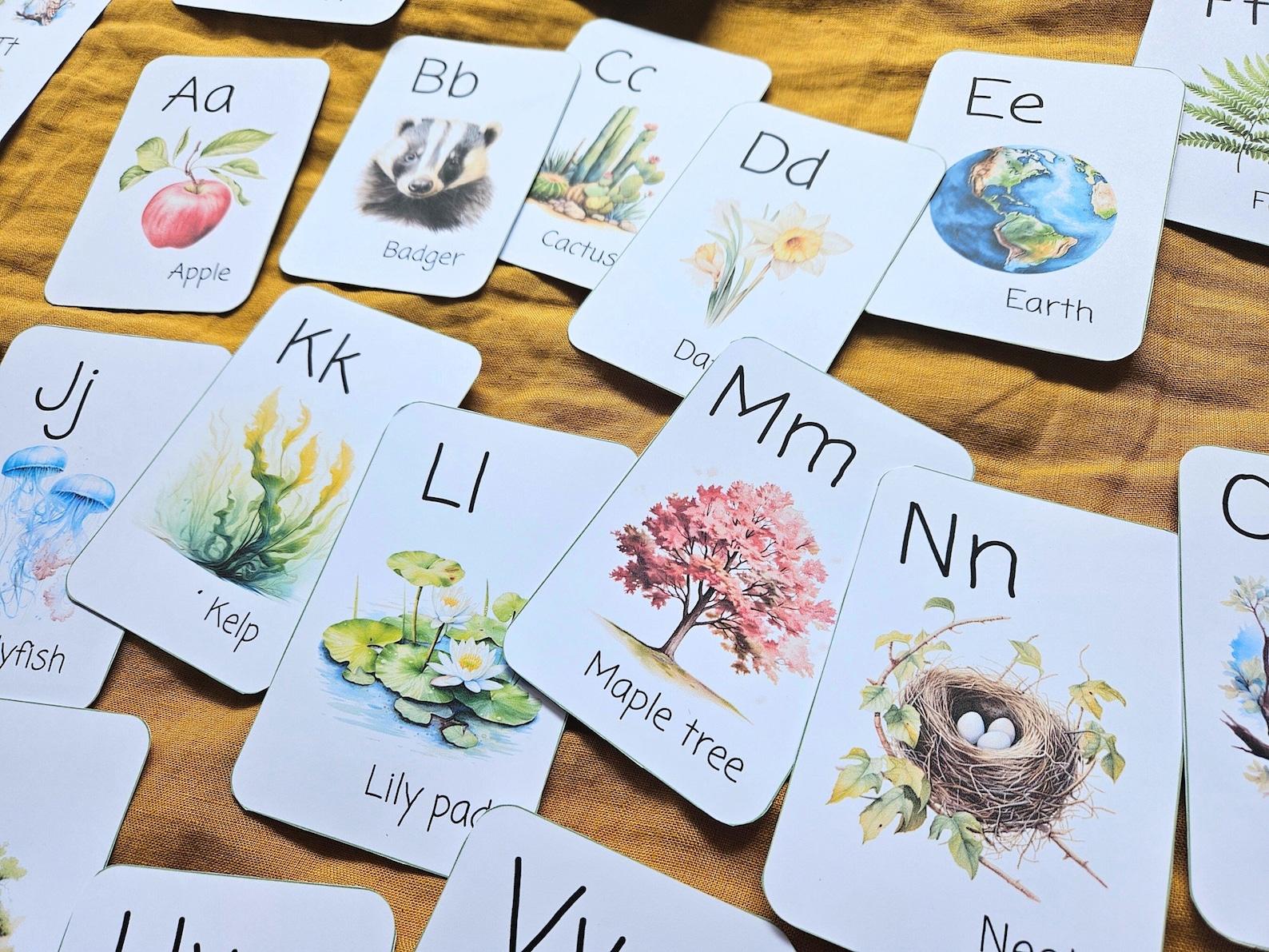 Nature ABC Cards and Poster BUNDLE Alphabet Nature Flashcards Alphabet ...
