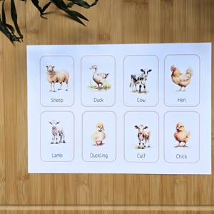 26 Farm Flashcards 2 Sizes Matching Activity Farm Animal Cards 3-part ...
