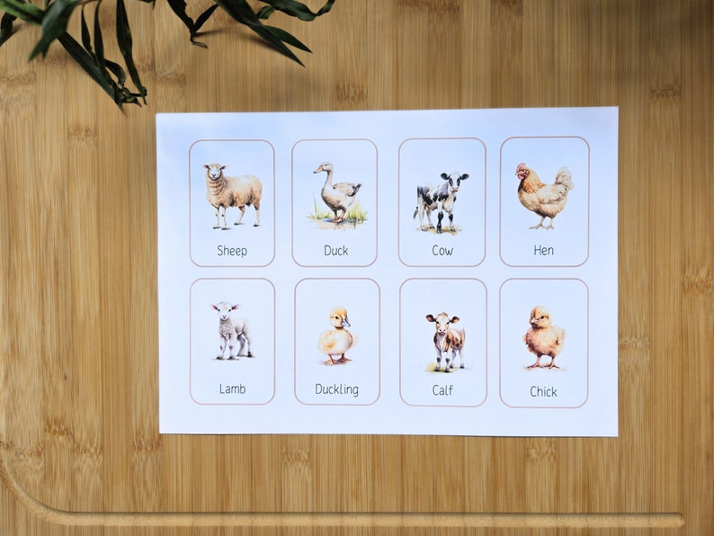 26 Farm Flashcards 2 Sizes Matching Activity Farm Animal Cards 3-part ...