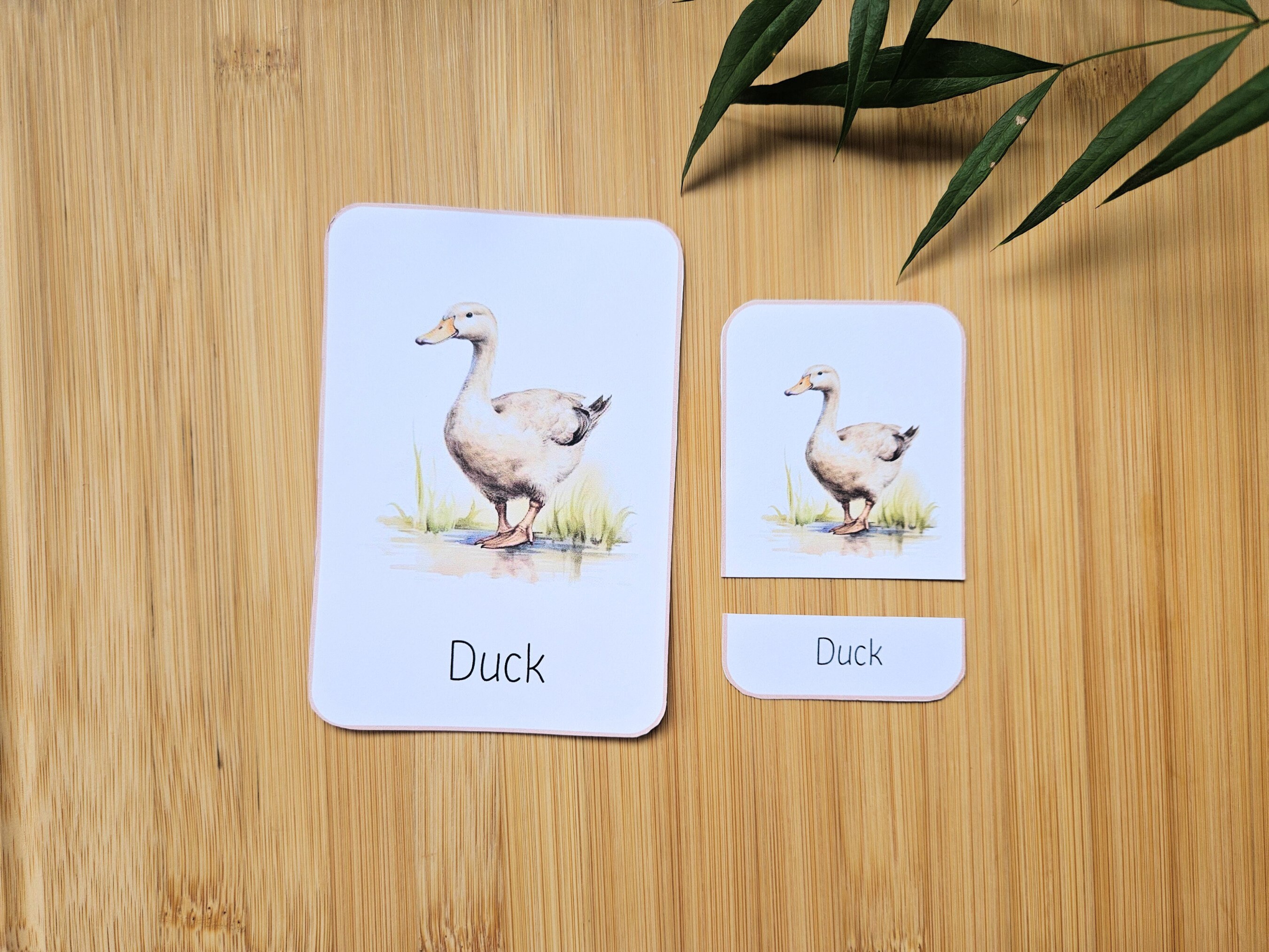 26 Farm Flashcards 2 Sizes Matching Activity Farm Animal Cards 3-part ...