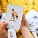 26 Farm Flashcards 2 Sizes Matching Activity Farm Animal Cards 3-part ...