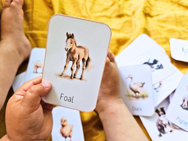 26 Farm Flashcards 2 Sizes Matching Activity Farm Animal Cards 3-part ...